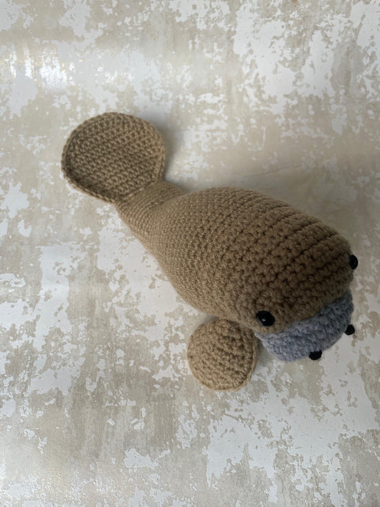 Manatee Pattern – KnotNookCo